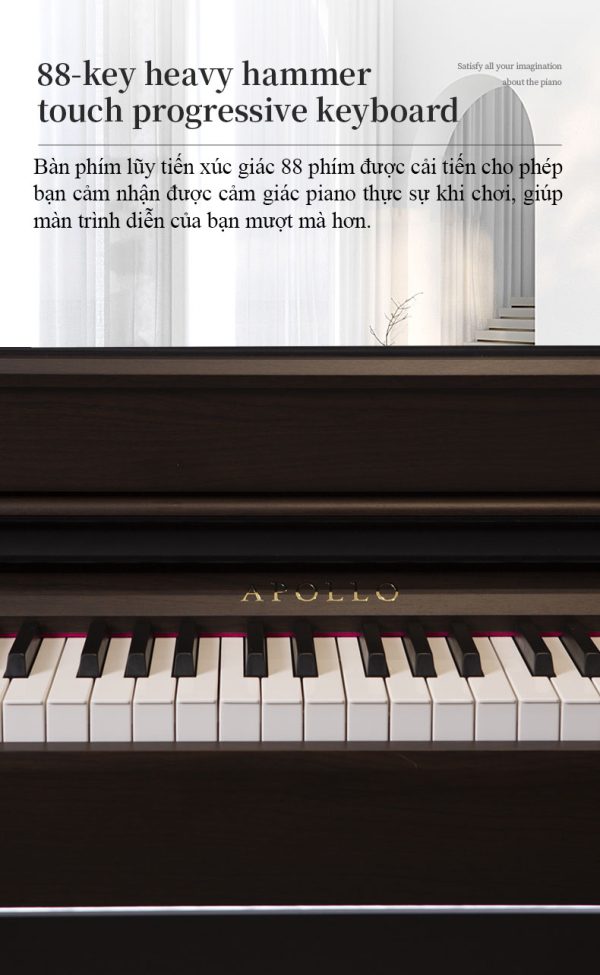 Piano Apollo DP-260 (BL) — Piano Apollo