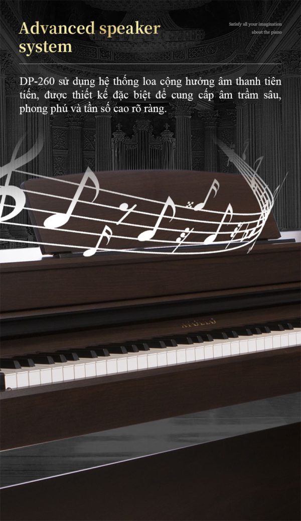 Piano Apollo DP-260 (BL) — Piano Apollo