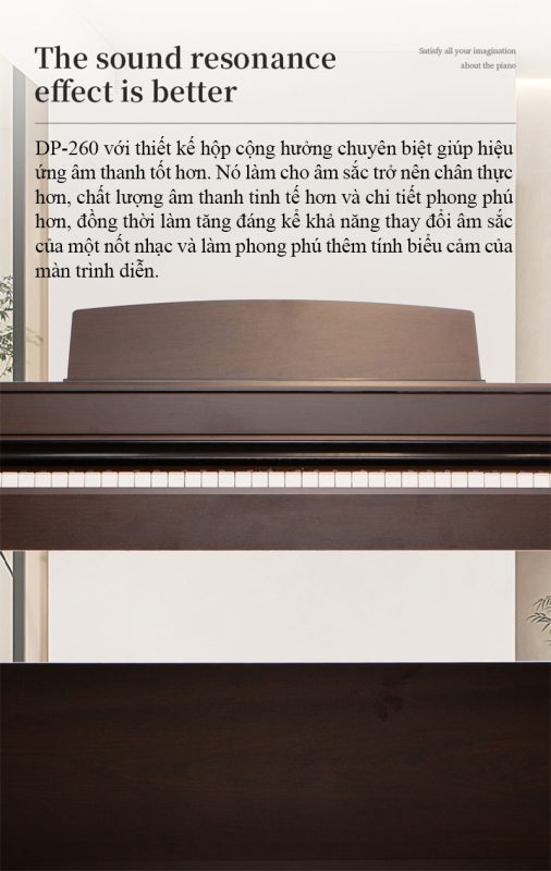 Piano Apollo DP-260 (BR) — Piano Apollo