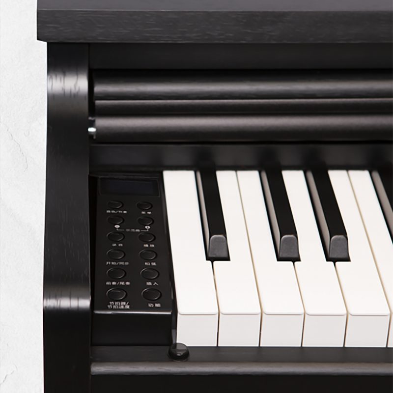 Piano Apollo DP-66 (BL) — Piano Apollo