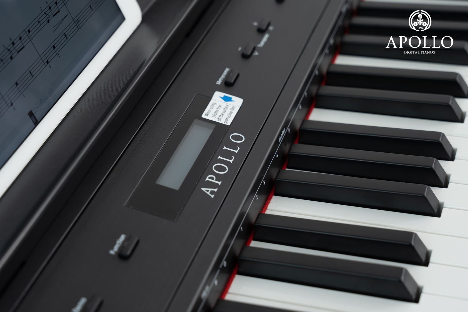 Piano Apollo DP-66 (BL) — Piano Apollo