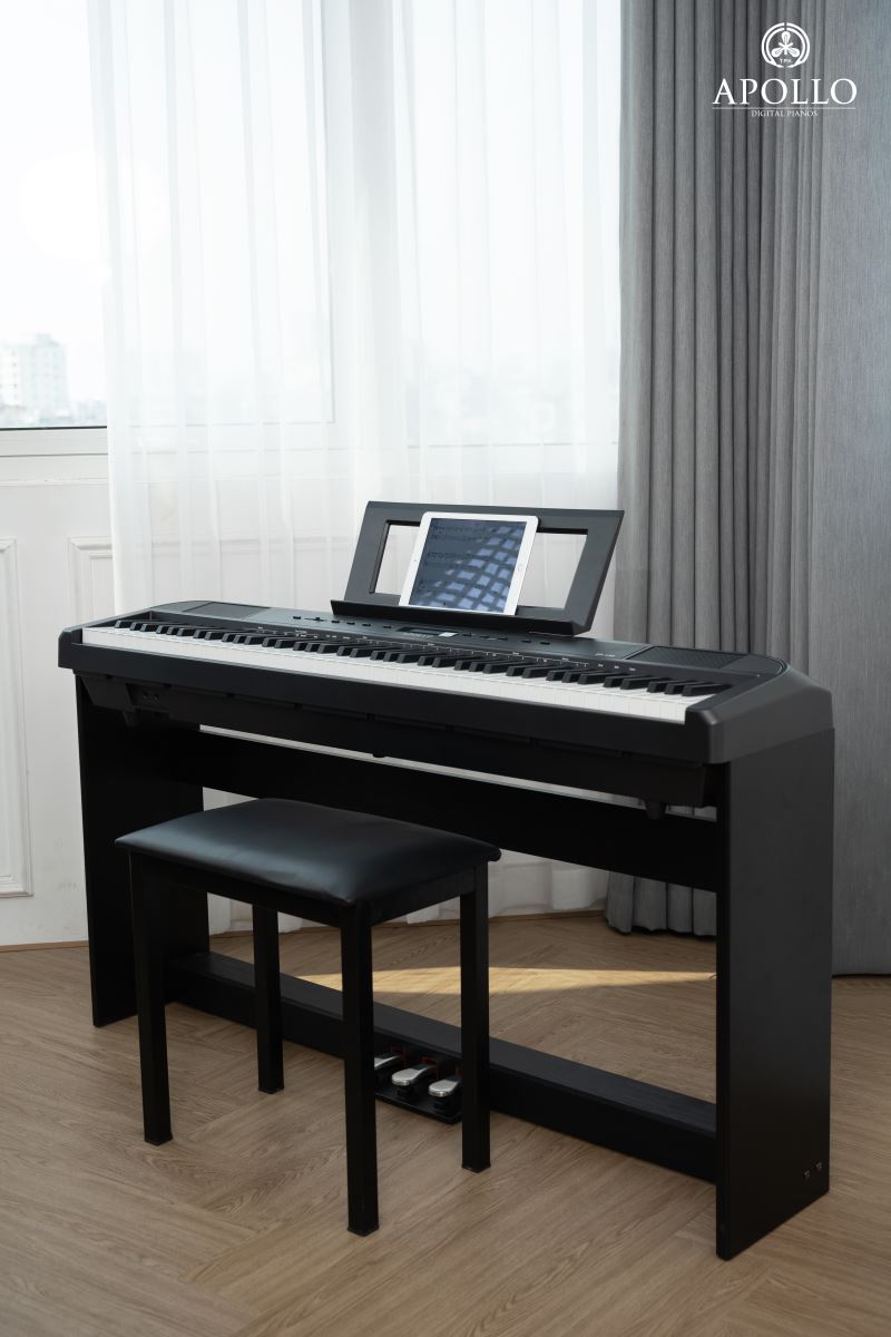 Piano Apollo DP-66 (BL) — Piano Apollo
