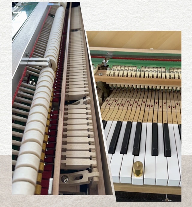 Piano Apollo AU50 — Piano Apollo